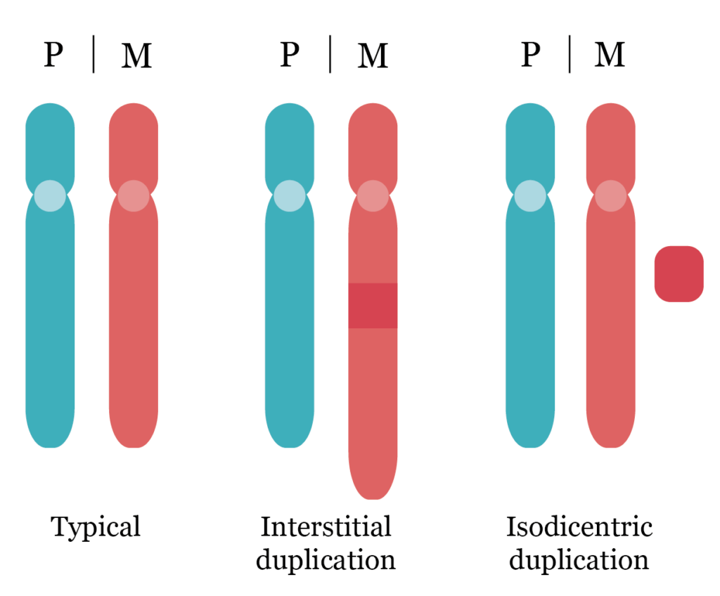 Dup15q Syndroom – Encore