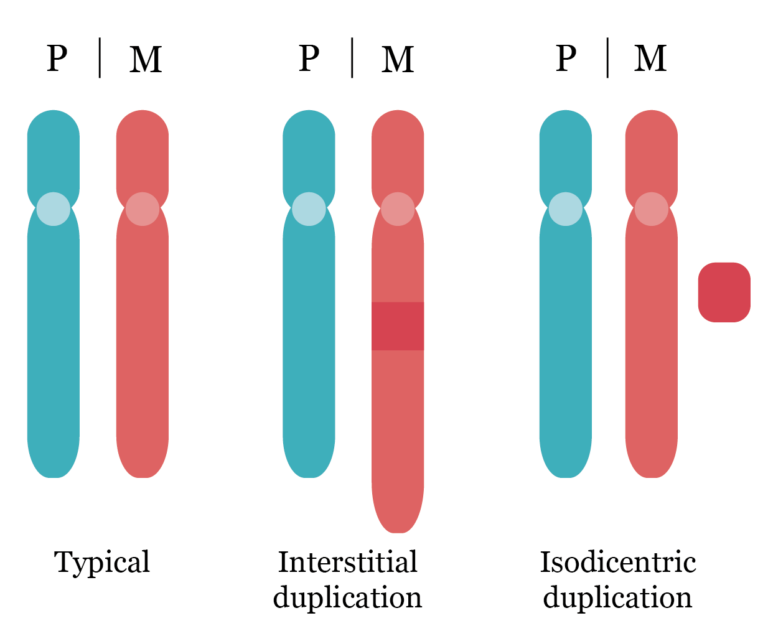 Dup15q Syndroom – Encore